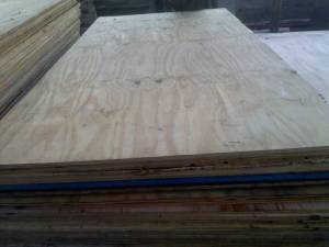 CHAPON FENOLICO 1,22 x 2,44m x 18mm - 7 CAPAS - La Comercial